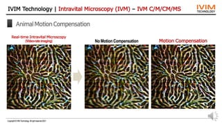 (July 21, 2021) Webinar #3 Applications Review – Highlighting Imaging ...