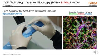 (July 21, 2021) Webinar #3 Applications Review – Highlighting Imaging ...