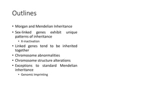 14 - The Chromosomal Basis of Inheritance | PDF
