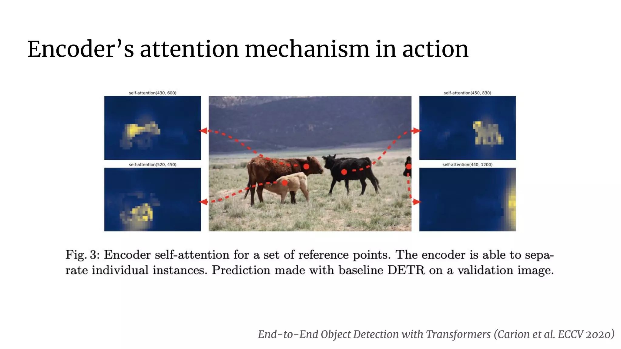 Visual Transformers | PPT