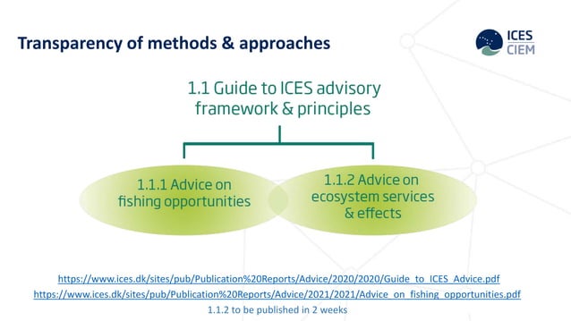 Ecosystem Based Fisheries Management & ICES | PPTX