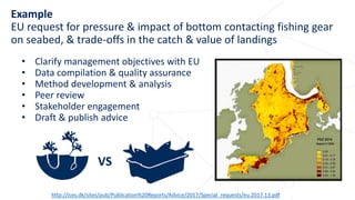 Ecosystem Based Fisheries Management & ICES | PPTX