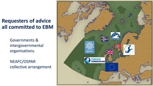 Ecosystem Based Fisheries Management & ICES | PPTX