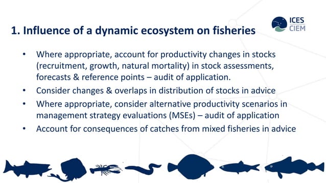 Ecosystem Based Fisheries Management & ICES | PPTX