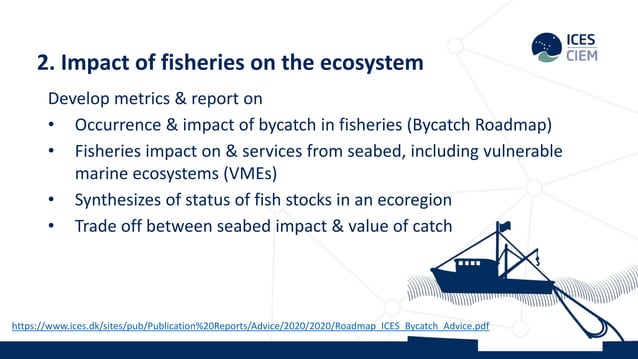 Ecosystem Based Fisheries Management & ICES | PPTX