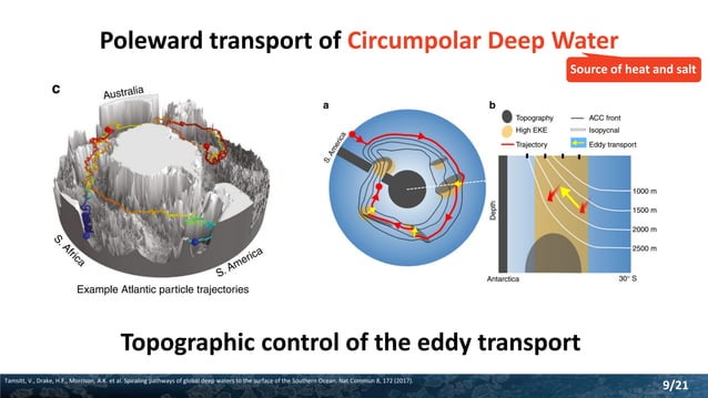 Behavior of ocean eddies in the Southern Ocean | PDF | Geography | Science