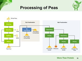 Value Addition of Peas and Plant Protein | PDF