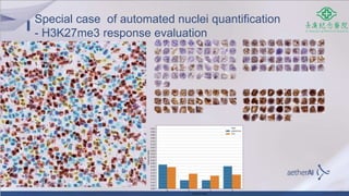 AI-powered Medical Imaging Analysis for Precision Medicine | PPTX