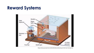 20210907-ISAGA-Gamified Framework for Educational Simulations in STEM ...