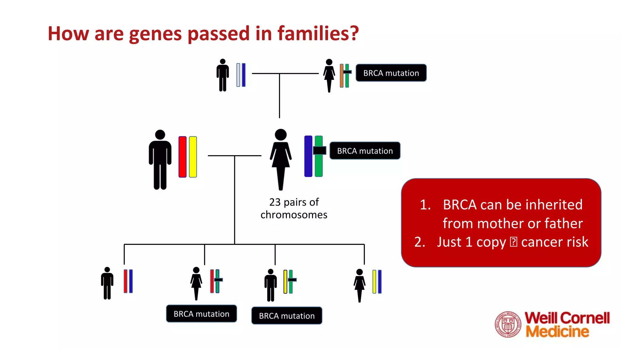 All in the Family: Hereditary Risk for Gynecologic Cancer | PPTX