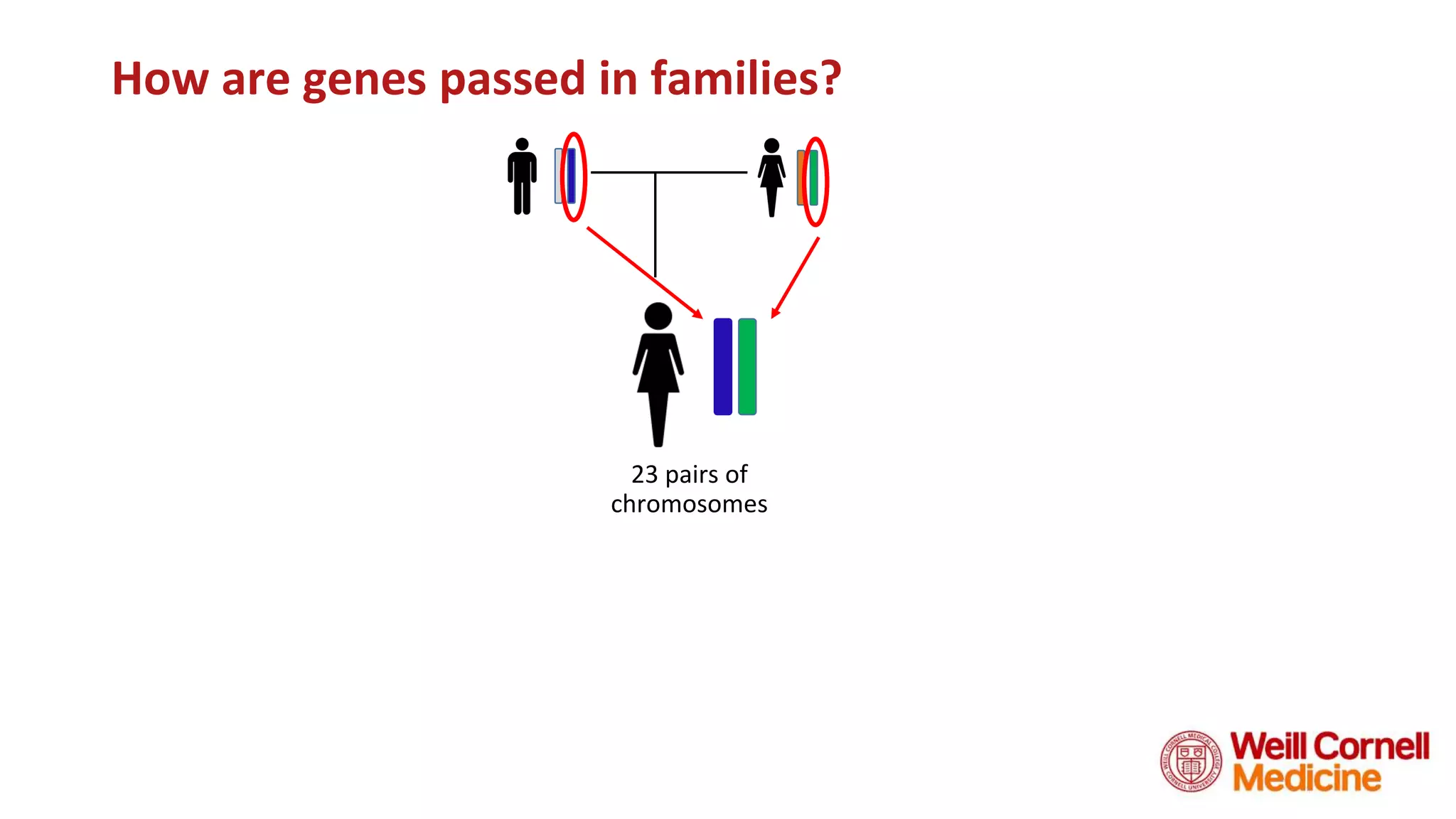All in the Family: Hereditary Risk for Gynecologic Cancer | PPTX