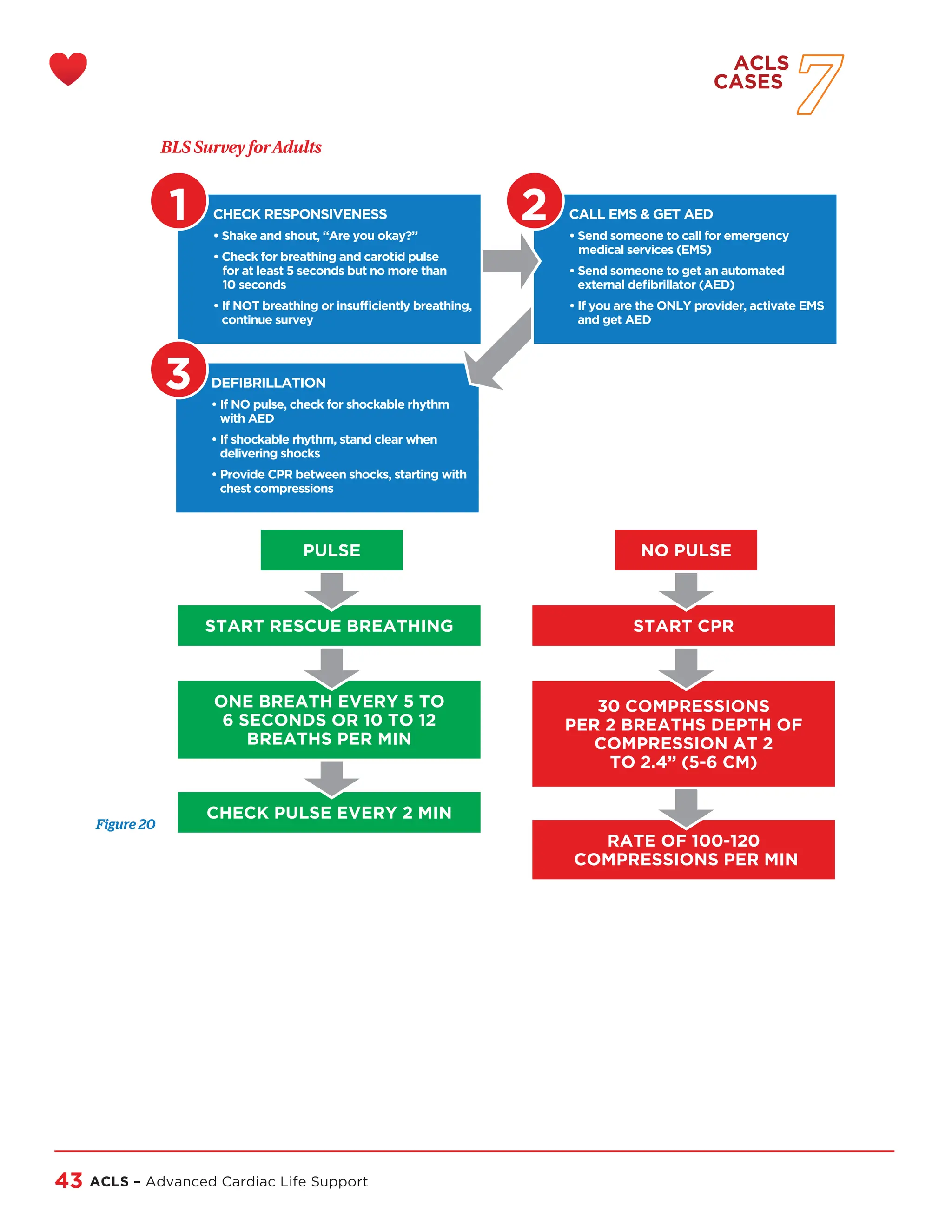 ACLS Handbook, Advanced Cardiac Life Support | PDF