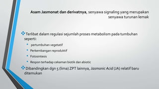 hormon Asam Jasmonat dan Lainnya, pengatur tumbuh tanaman | PPTX