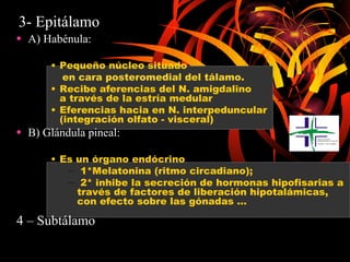 2021 diencefalo funcional rnm tc slideshare | PDF