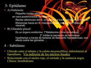 2021 diencefalo funcional rnm tc slideshare | PDF