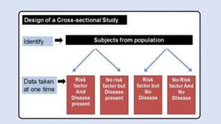 2021f_Cross-sectional study.pptx
