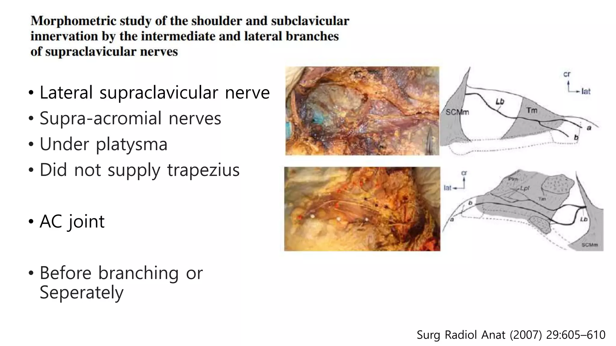 2021 KSRA clavicle innervation | PPTX