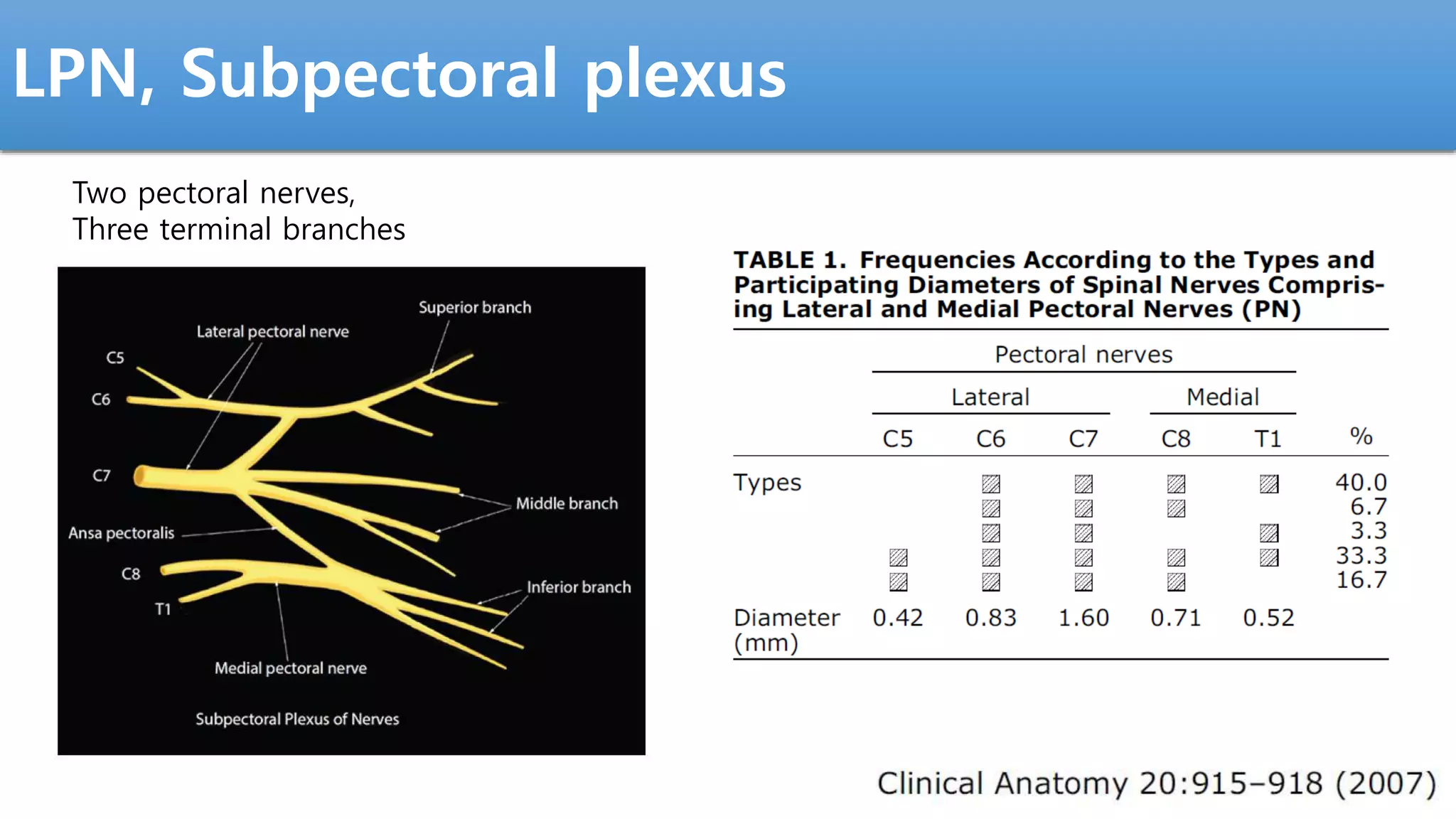 2021 KSRA clavicle innervation | PPTX