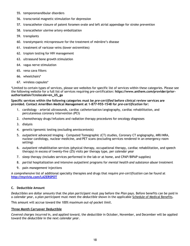 2021 lazer spot medical plan document and spd | PDF | Health Insurance ...