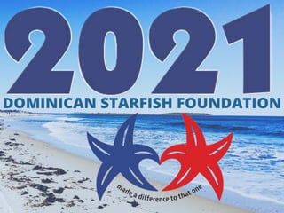 Dominican Starfish Foundation Overview | PPT