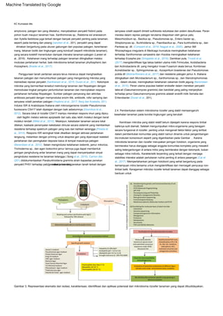 2021_Rhizosphericmicrobiome- (1).pdf