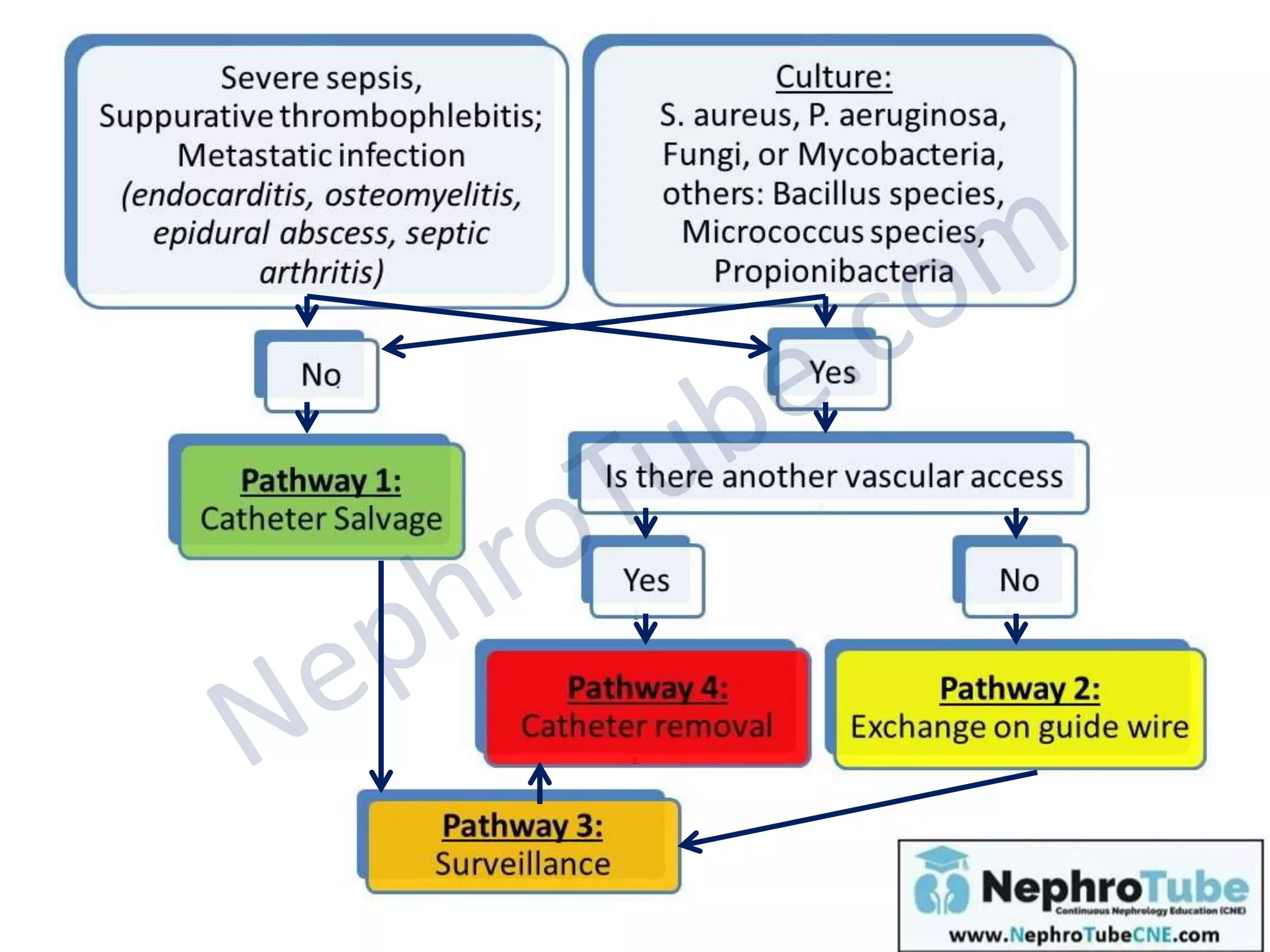 Catheter Related Blood Stream Infection (CRBSI) - (Diagnosis ...