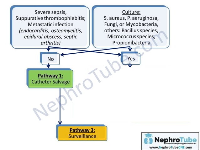 Catheter Related Blood Stream Infection (CRBSI) - (Diagnosis ...