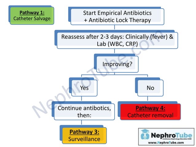 Catheter Related Blood Stream Infection (CRBSI) - (Diagnosis ...