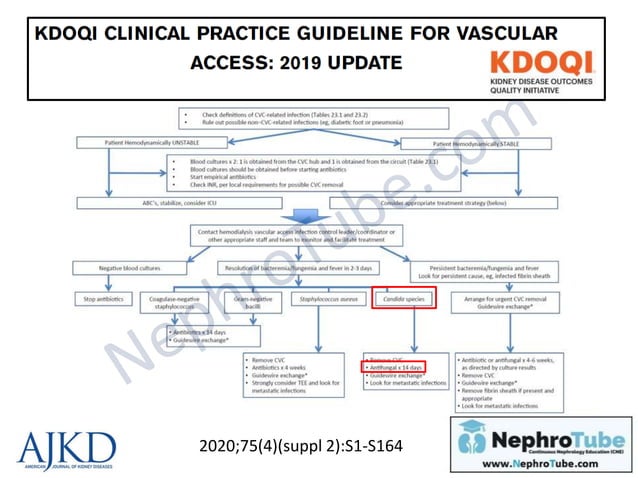 Catheter Related Blood Stream Infection (CRBSI) - (Diagnosis ...