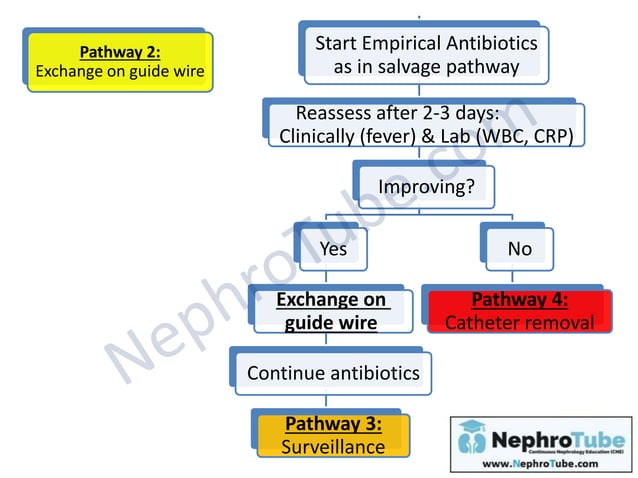 Catheter Related Blood Stream Infection (CRBSI) - (Diagnosis ...