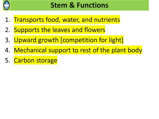 2021 Week 2 Lecture#1 Plant Structure & Function_lbalun07132021.ppt