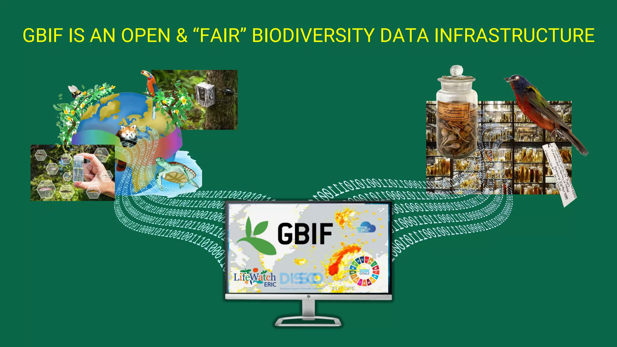 GBIF at Living Norway Open Science Lab 2022-03-03 | PDF