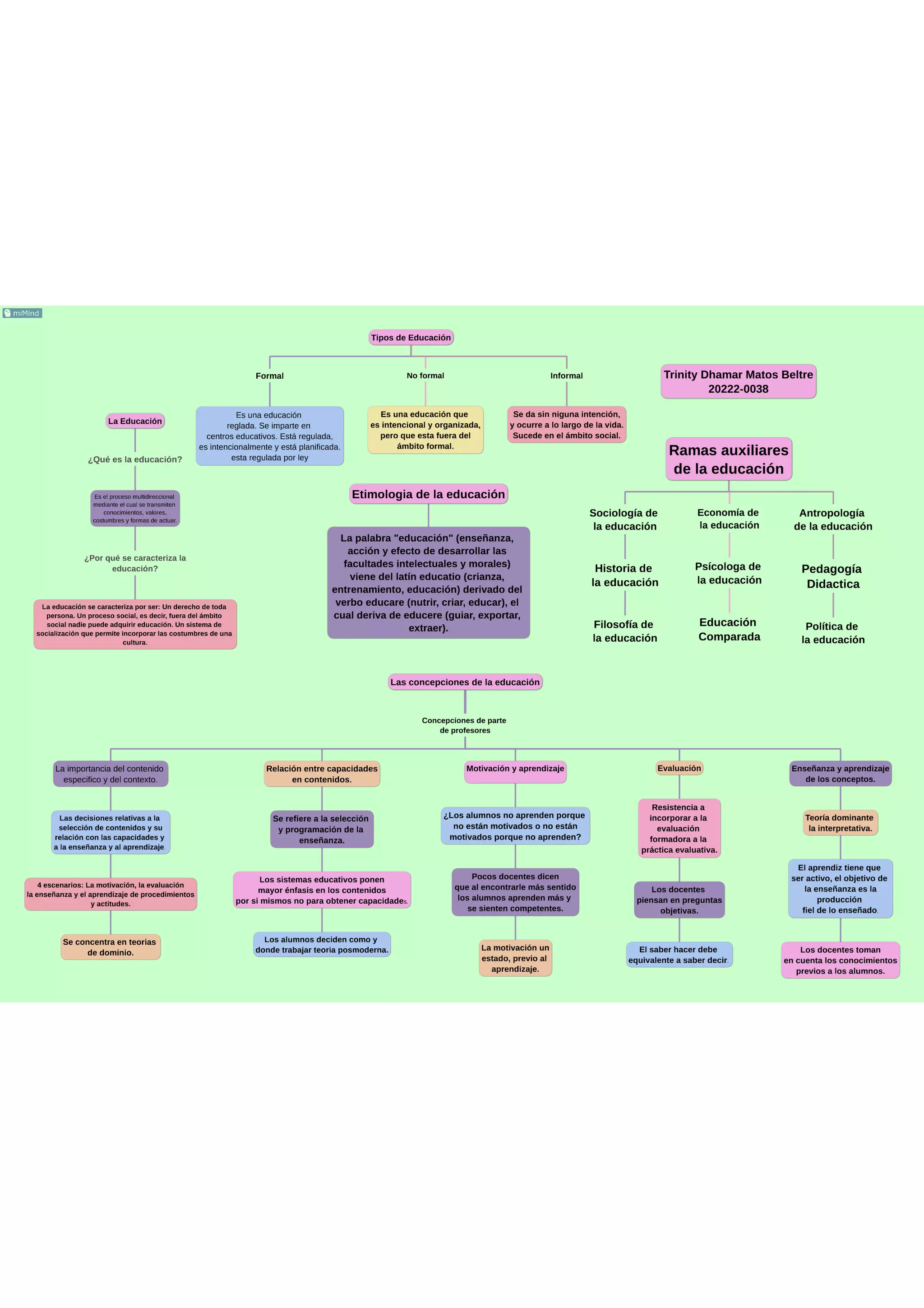 Mapa conceptual | PDF