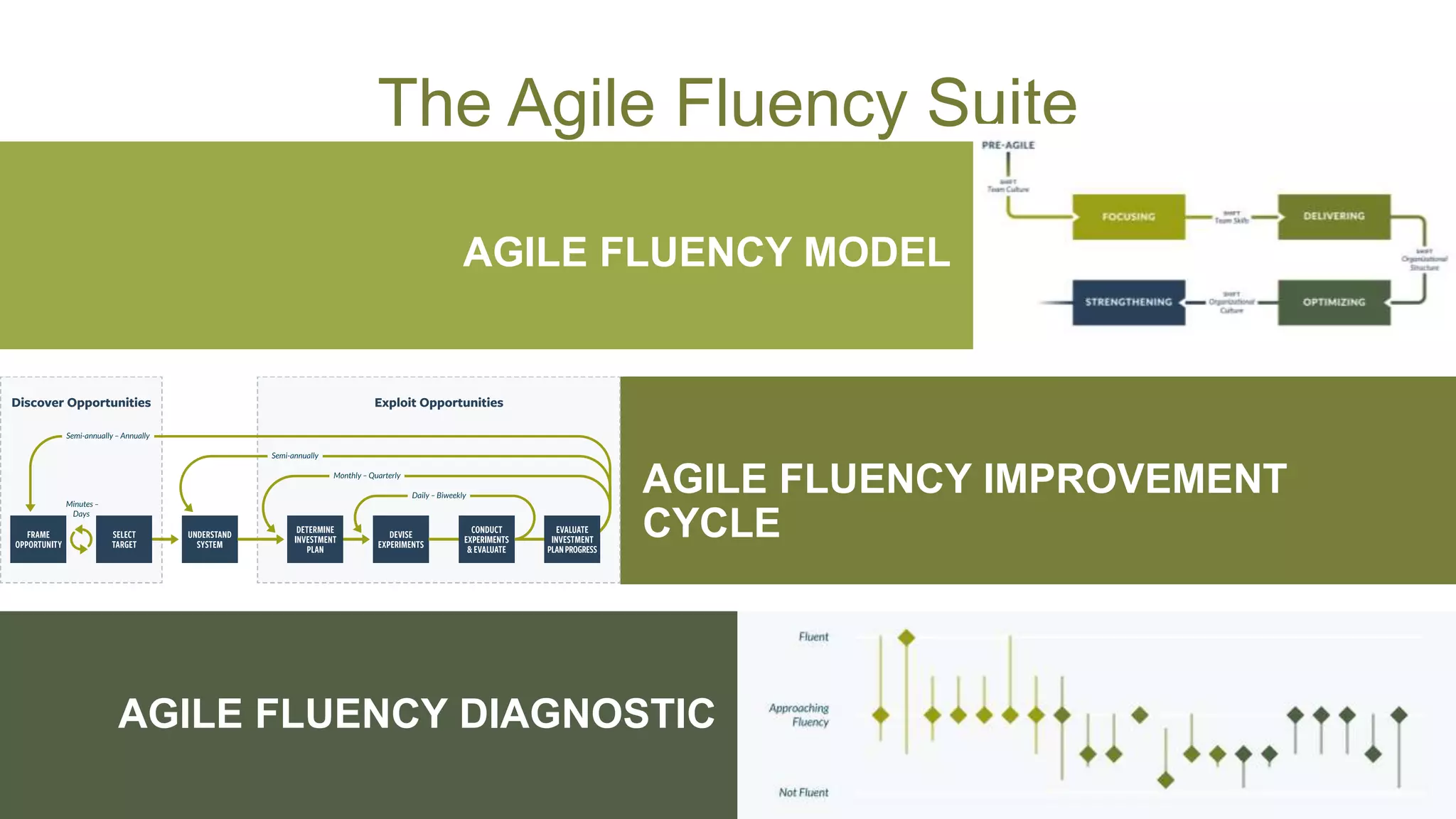 Engage the Agile Fluency® Model with Diana Larsen — Hands-on Agile #46 ...