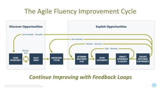 Engage the Agile Fluency® Model with Diana Larsen — Hands-on Agile #46 ...