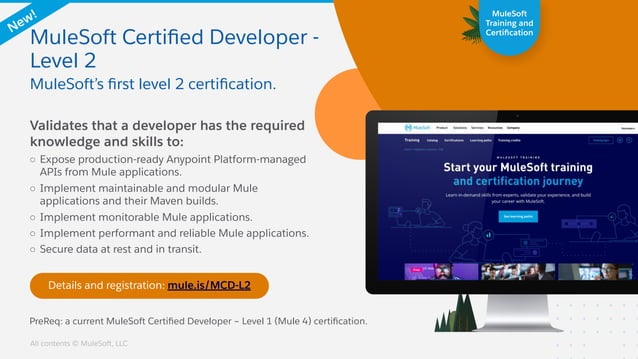 Singapore MuleSoft Meetup - 24 Aug 2022 | PPT