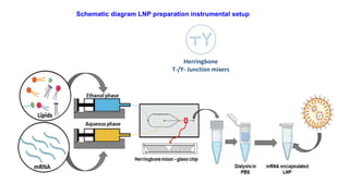Lipid nanoparticles for mRNA vaccines | PPTX