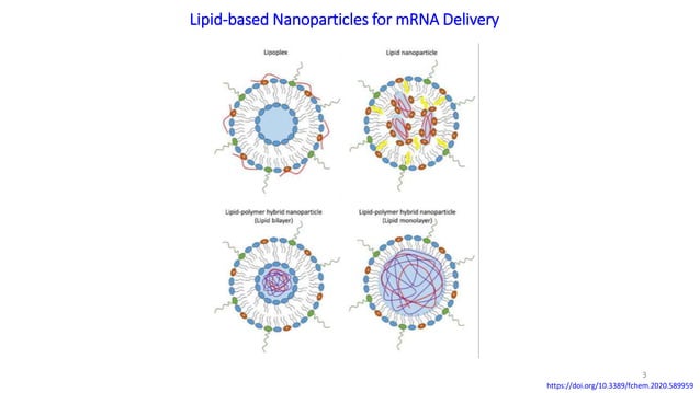 Lipid nanoparticles for mRNA vaccines | PPTX