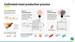Cultivated meat cost curve.pdf