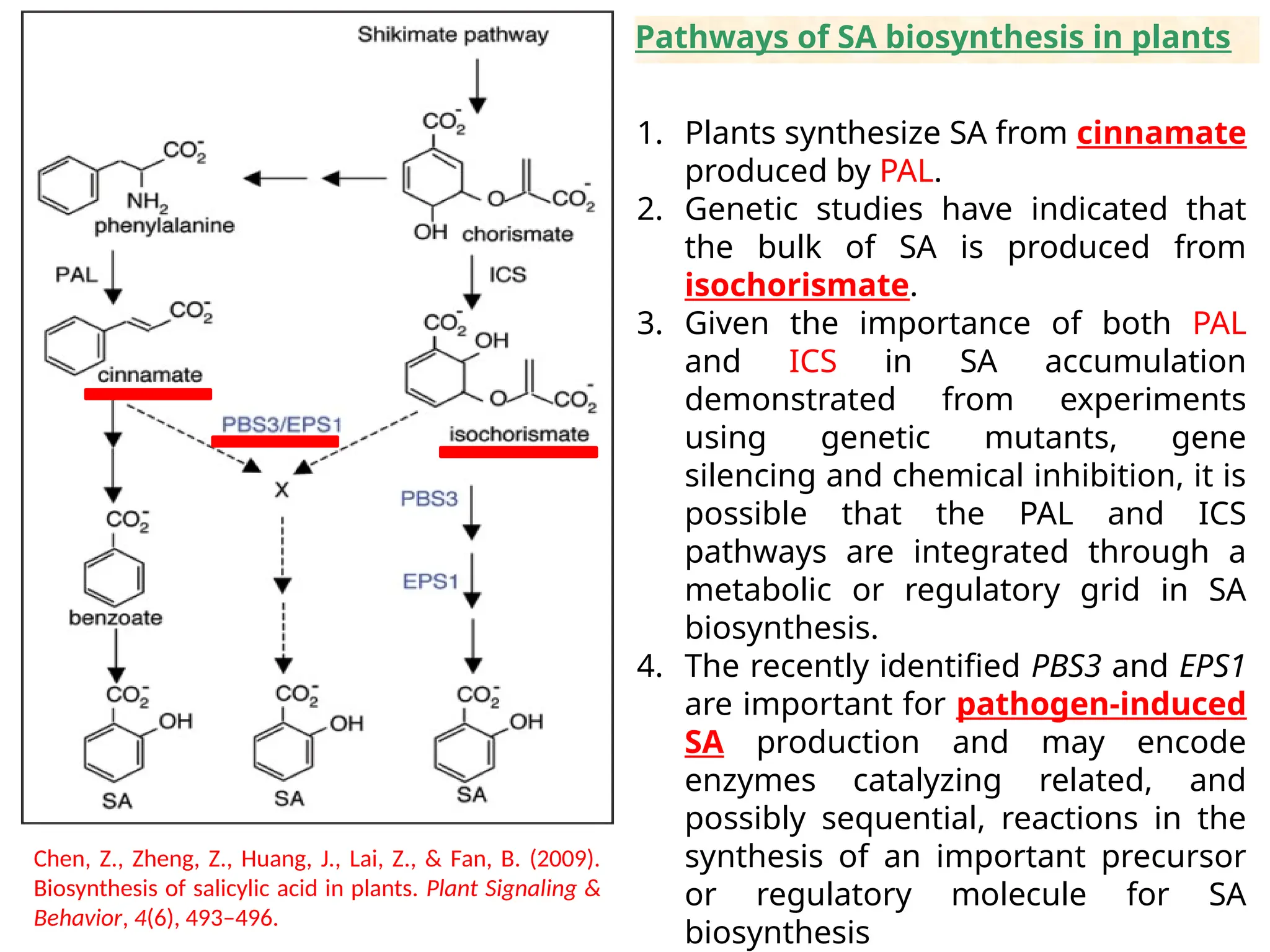 Effect of Salicylic Acid on plant growth and yield.pptx