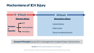 2022-Guideline-for-the-Management-of-Patients-With-Spontaneous-ICH ...