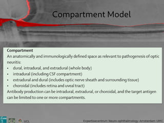 Optic Neuritis: diagnosis and classification 2022 | PDF