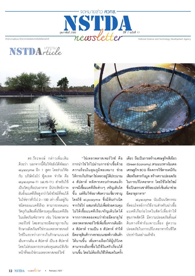 NSTDA Newsletter ปีที่ 7 ฉบับที่ 11 ประจำเดือนกุมภาพันธ์ 2565 | PDF