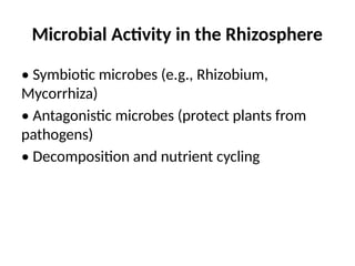 Rhizosphere and it's significant role.pptx