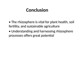 Rhizosphere and it's significant role.pptx