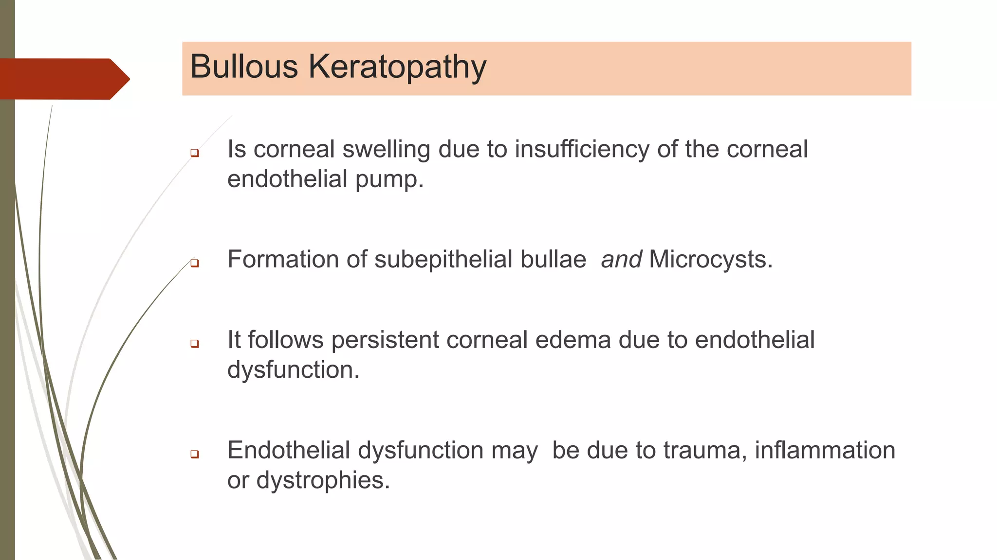 2022_0416_Bullous Keratopathy.pptx