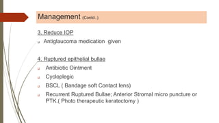 2022_0416_Bullous Keratopathy.pptx