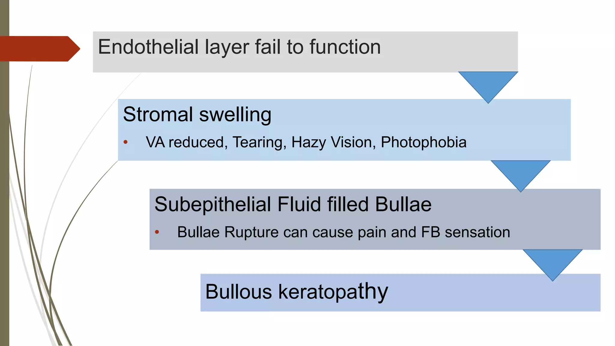 2022_0424_Bullous Keratopathy.ppt