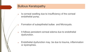 2022_0424_Bullous Keratopathy.ppt