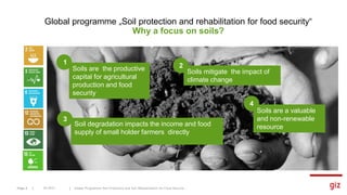 Soil Protection and Restoration for Food Security Program | PPT